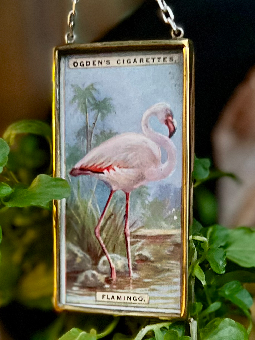 Flamingo Tobacco Card - Sue B. Designs