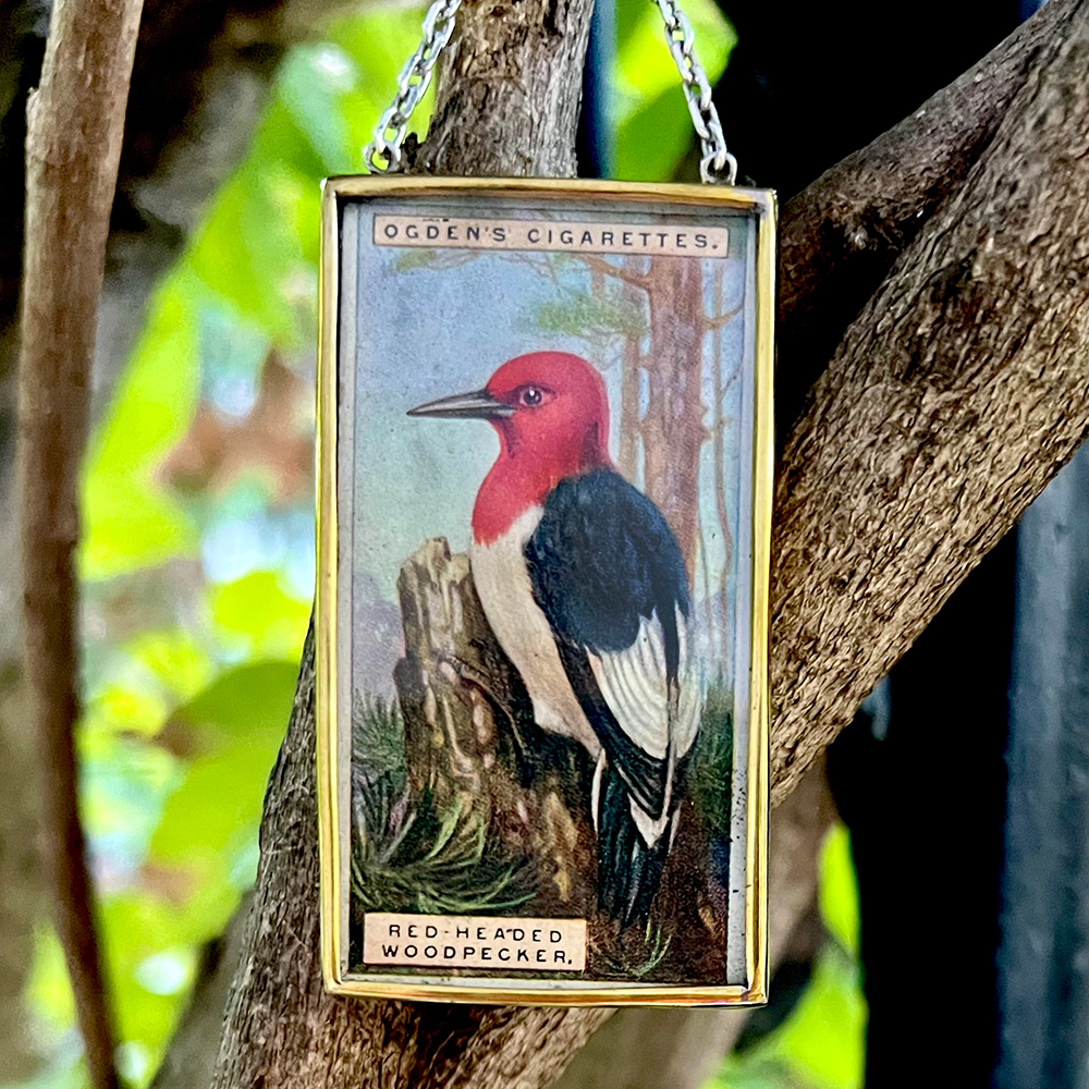 Red Headed Woodpecker Tobacco Card - Sue B. Designs